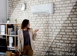 The Effects of Excess Humidity in the Human Body | McMaster Heating and ...